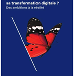 Mutuelles : comment réussir sa transformation digitale ? | SeaBird